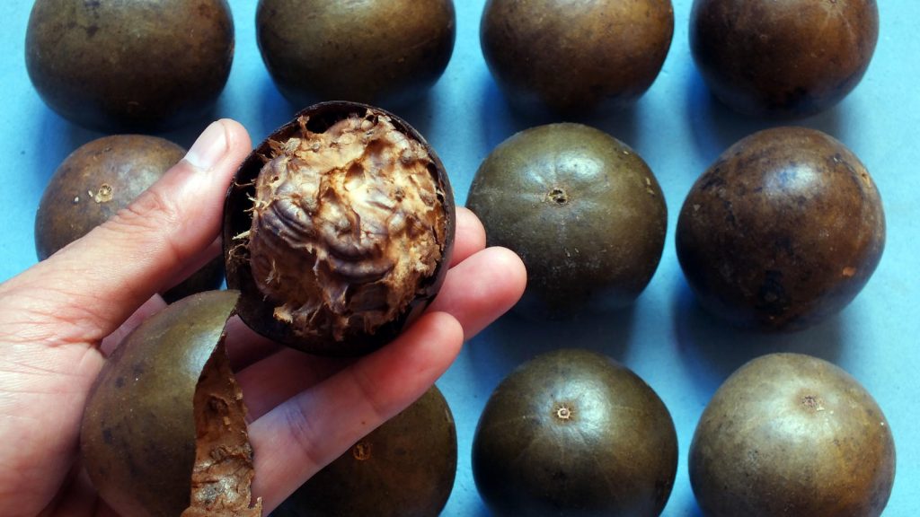 La fruta del monje | Divulga!